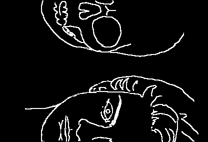 Insomnia – Sulevi //////// VD &&&&& EXT